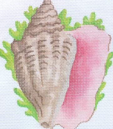 Tropical Mini – Conch Shell w/ Seaweed (February) | Best Price in 2025 ...